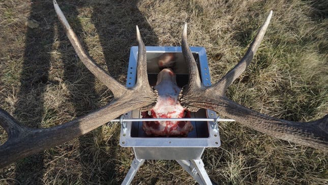 DIY Taxidermy- Boiling a Skull - Western Hunter